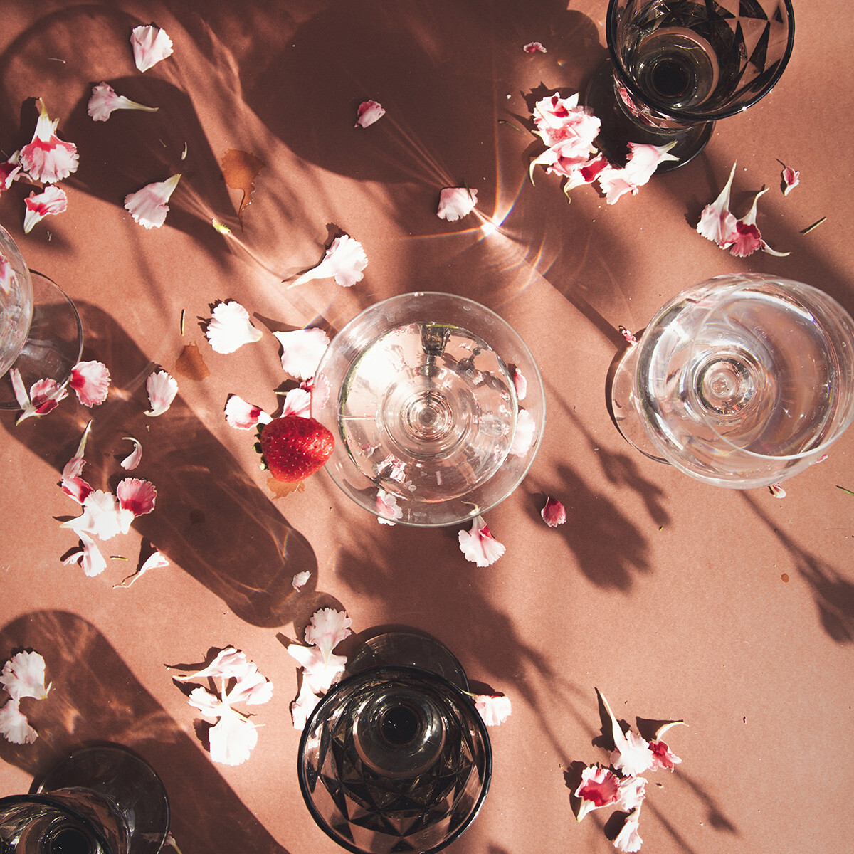 Optimera - få hjälp att implementera rabattavtalen | Seiva